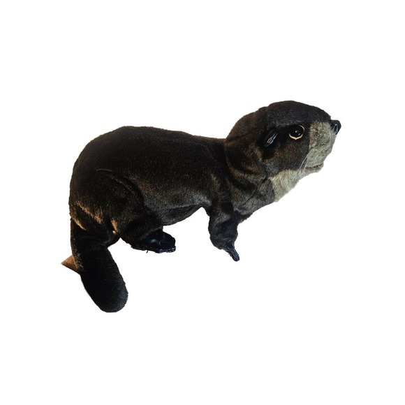 Folkmanis Puppets | Toys | Folkmanis Puppets River Otter Hand Puppet ...